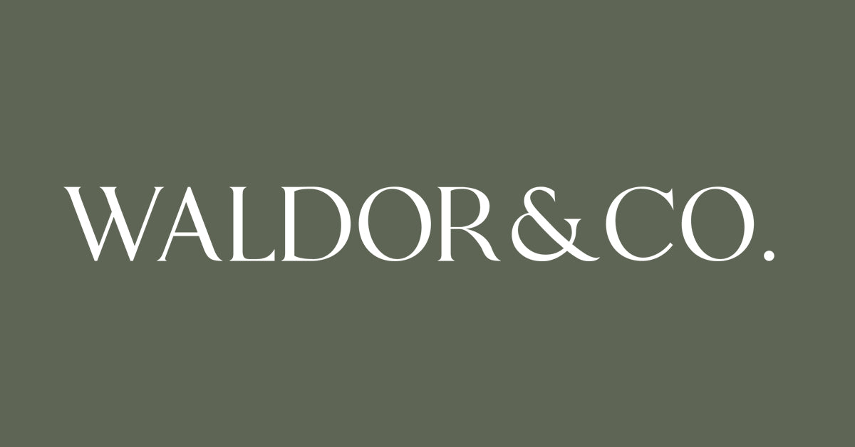 The world of WALDOR & CO. | Three brothers with a vision